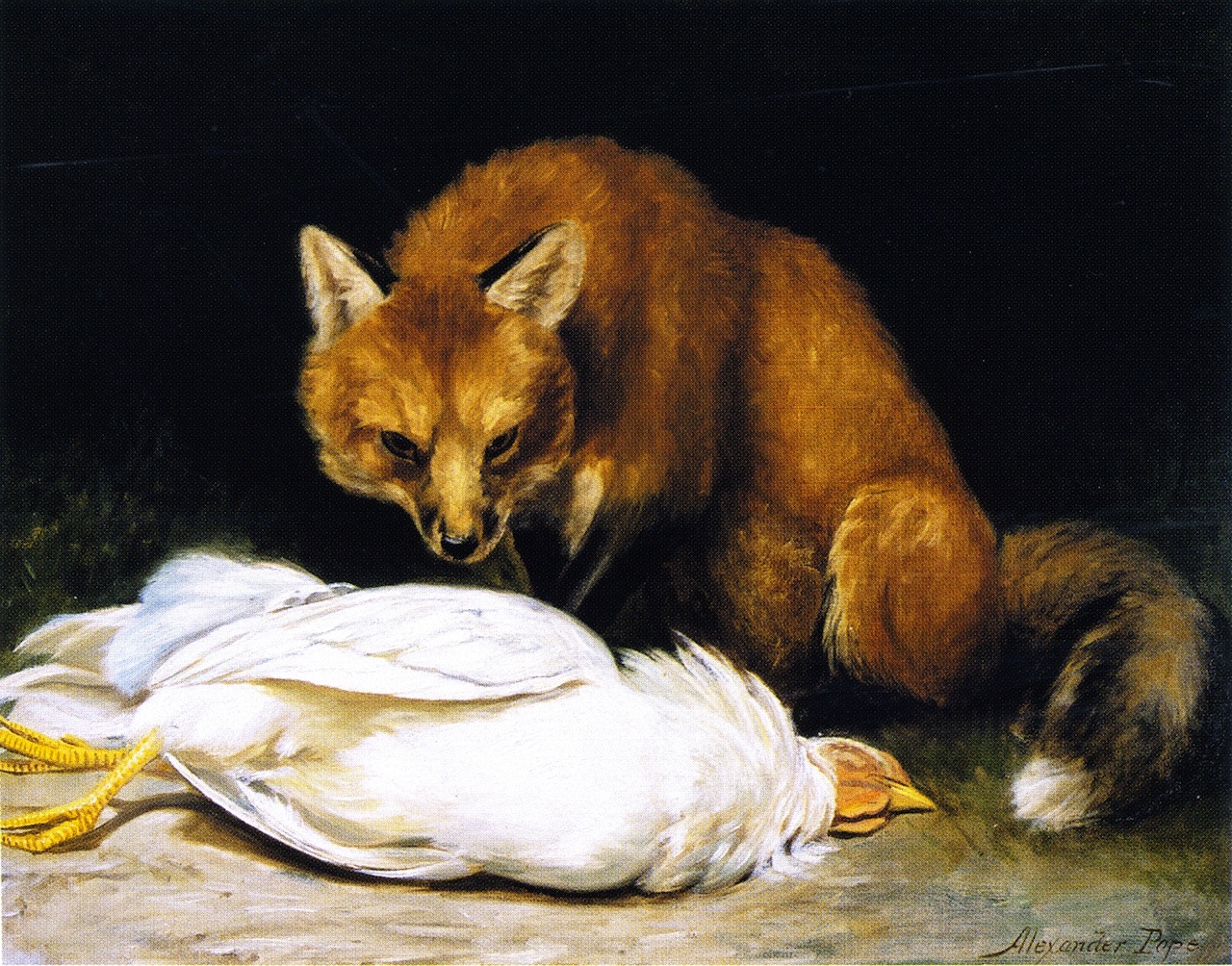 The Fox (Fair Game) — Alexander Pope – Biblioklept